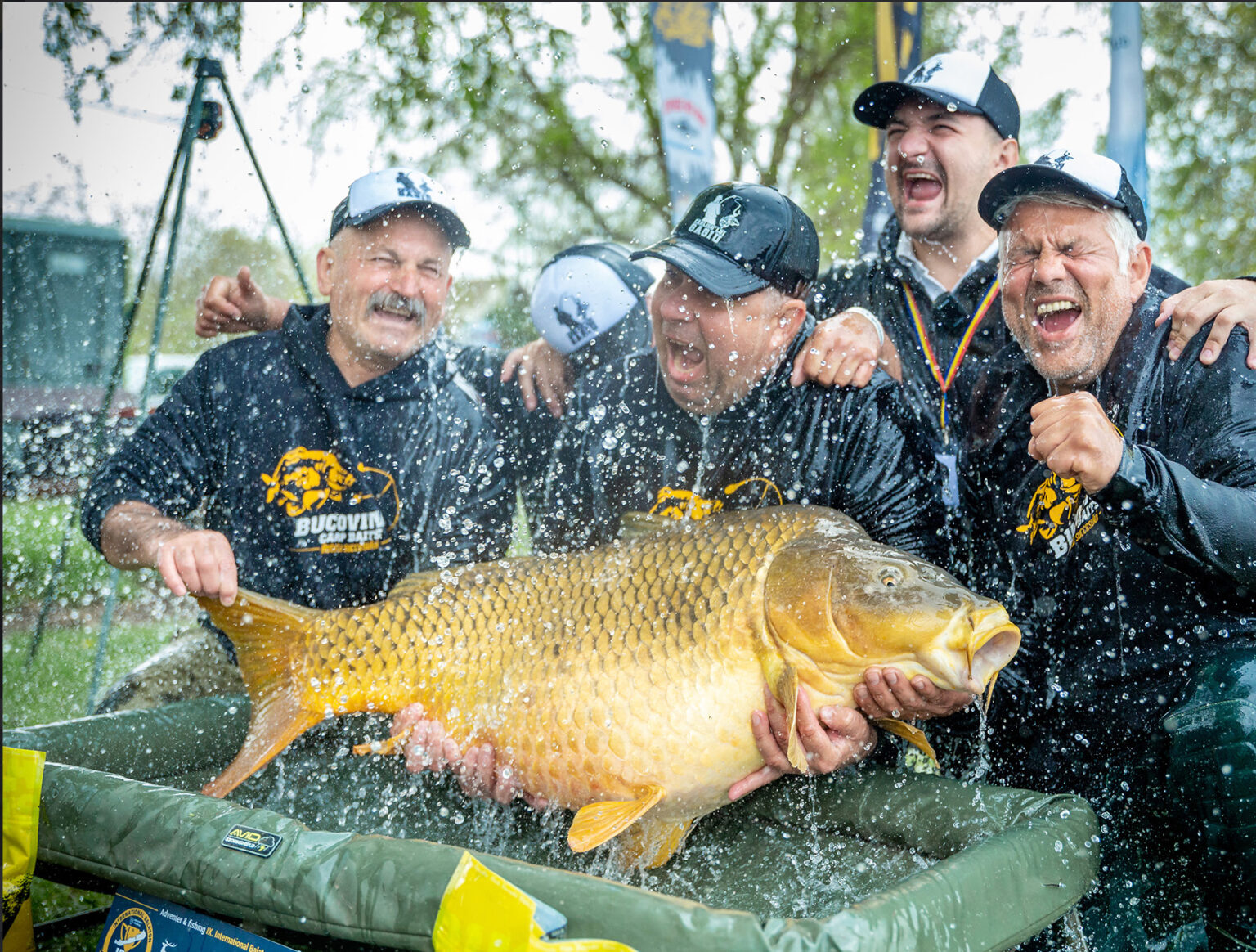 IBCC 2025 - Nagy örömmel osztjuk meg veletek a fantasztikus hírt!
